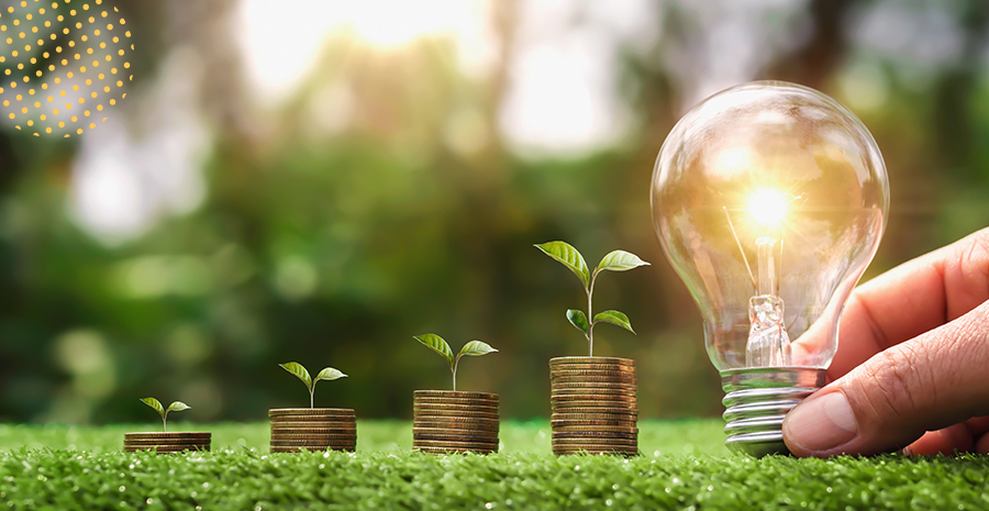 O que é a responsabilidade social de uma empresa? Entenda mais!